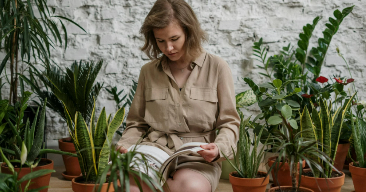 Kako da sobno cveće "preživi" vaš odmor od 10 dana? | Mogu Ja To Sama - Svaki ženski trik na ...